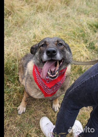 Дуня любит людей