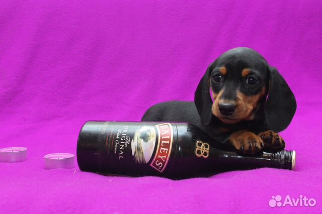 Мини лапочка дочка