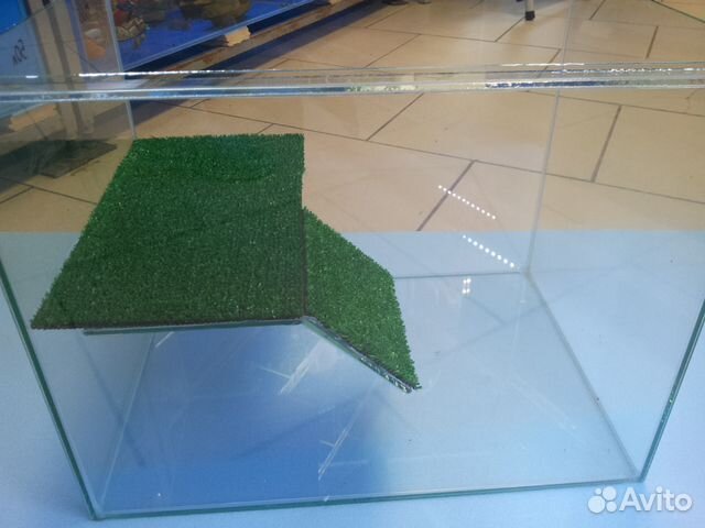 Аквариум для красноухих водяных черепах