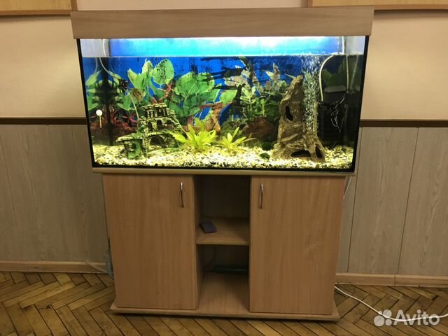 Аквариум