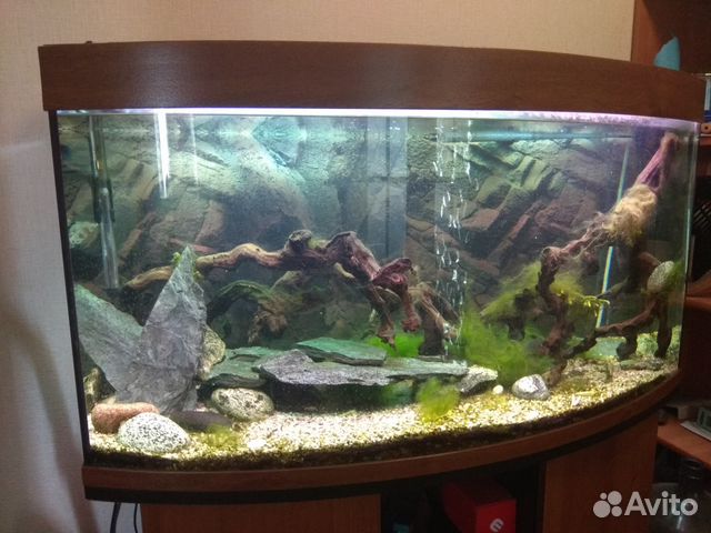 Аквариум 300 л