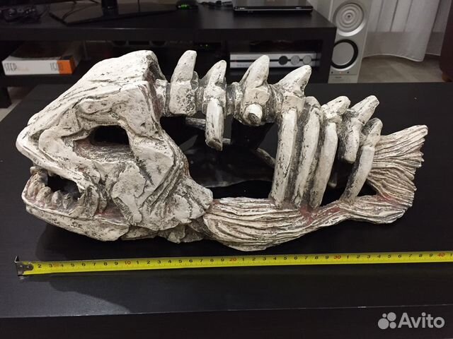 Грот скелет рыбы