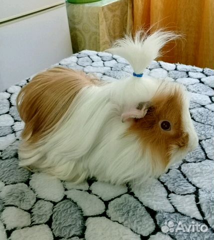 Милаха