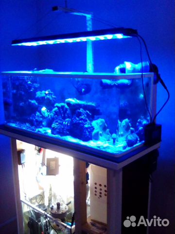 Морской аквариум