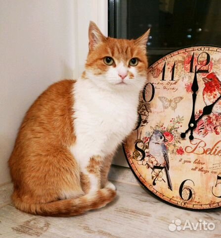 Луша ищет свою маму