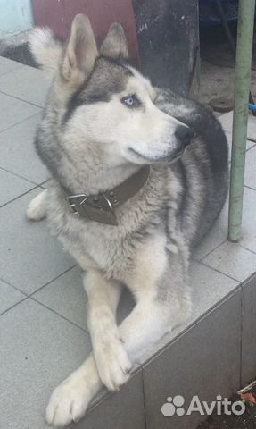 Вязка кабель