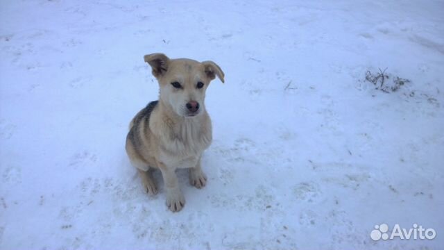 Очаровашка девочка