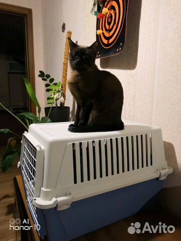 Товары для животных