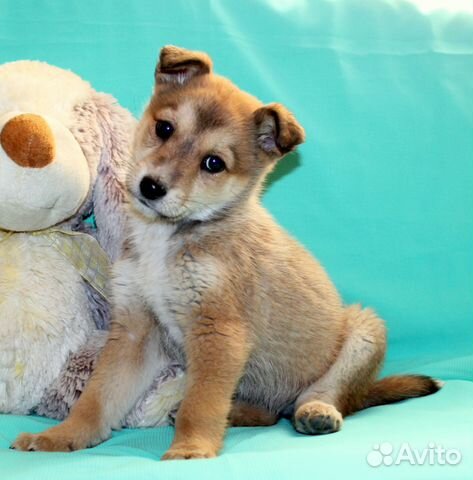 Нюша 2 месяца