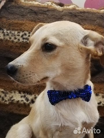 Малыш Лаки 1.5 года 35 см