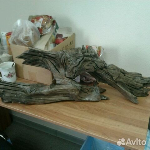 Мангровая коряга обмен