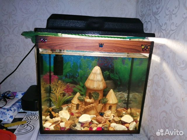 Аквариум