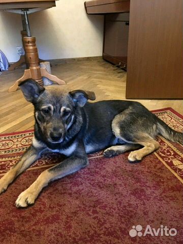 Подросток мальчик 1 год