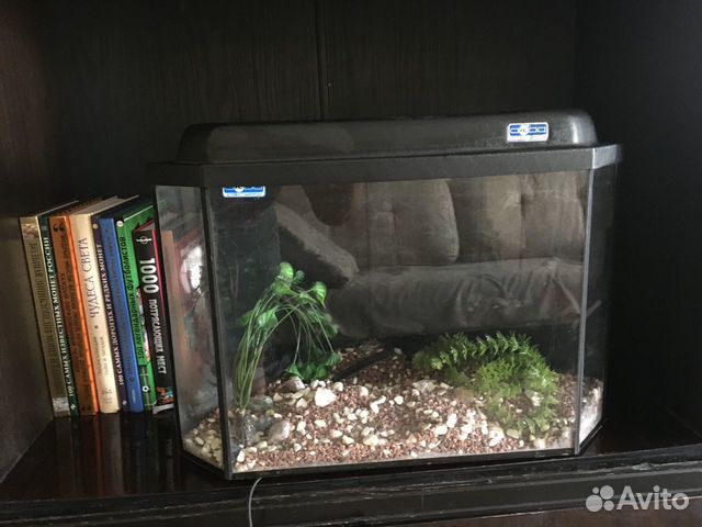 Аквариум