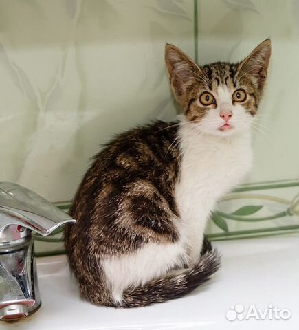 Я буду вашим лучиком