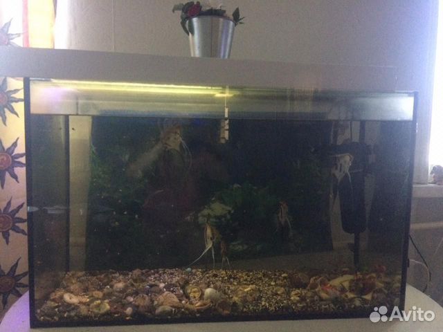Аквариум с рыбками(фильтр, подсветка) 100 л