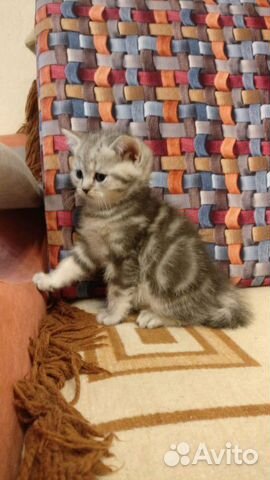 Мраморная красавица