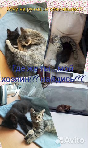 Очень нужен дом