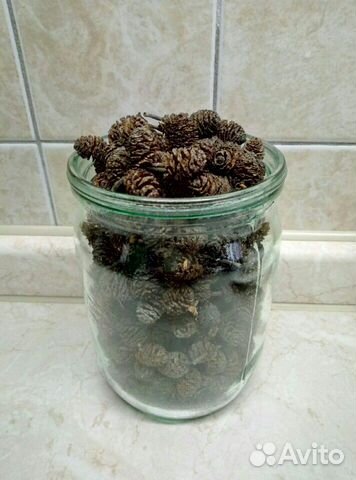 Шишки ольхи