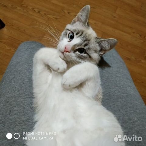 Замечательный парень