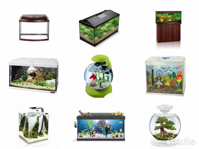 Аквариумы с доставкой