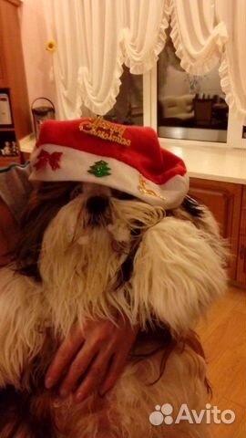 Новогодние сюрпризы родным