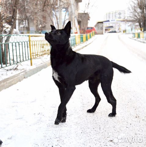 Замечательный подросток:)