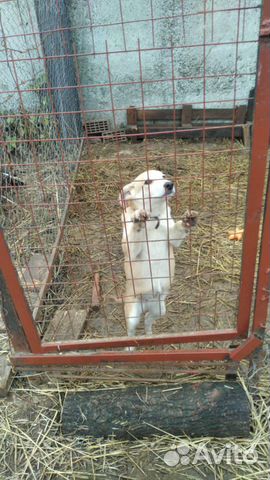 Замерзает крошка спасите