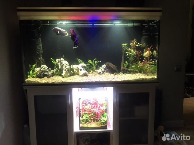 Продам аквариум на 300л.и его содержимое