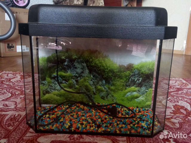 Аквариум