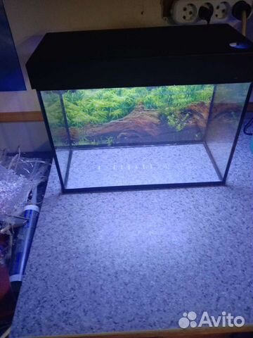 Аквариум