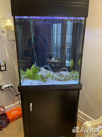 Аквариум с тумбой. Ш50,д70,в70см/50л. 19000т