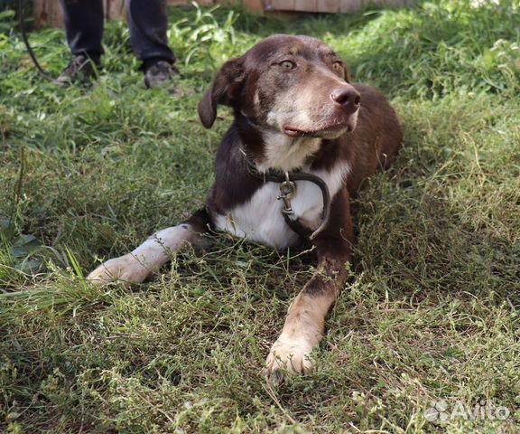 Джек ищет дом