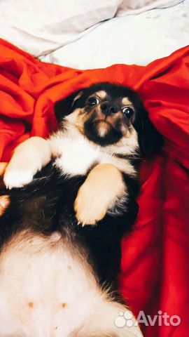 Маленькая девочка