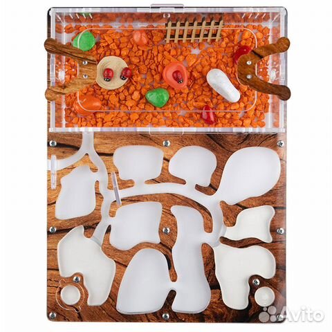 Муравьиная ферма с муравьями.(новая)