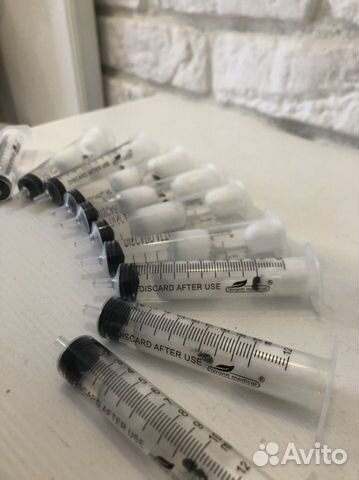 Матки и колонии lasius Niger