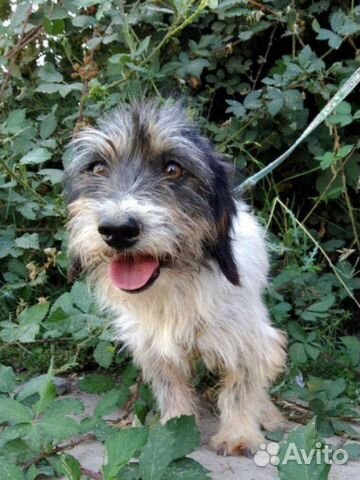 Любознательный крошка Клёпа