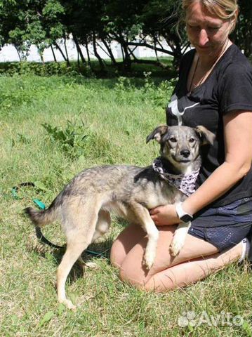 Маленькой собаке нужна семья 7 кг