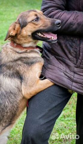 Добрый мальчик из, черного приюта