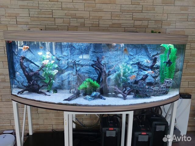 Аквариум панорамный 900 литров