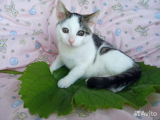 Милая, ласковая малышка