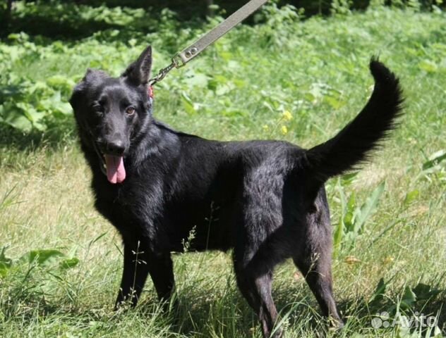 Тринити мечтает о доме