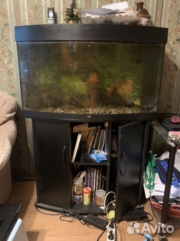 Аквариум с тумбой juwel 240л
