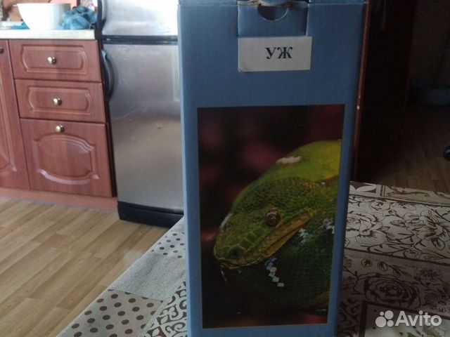 Влажный препарат