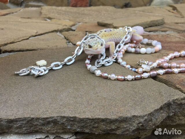 Эублефар самец