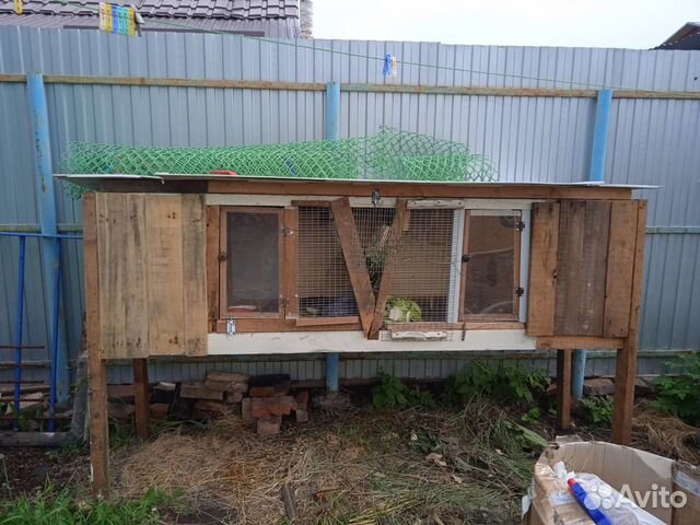 Кролики с Клеткой