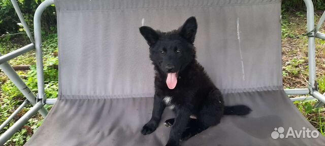 Ласкушка девочка