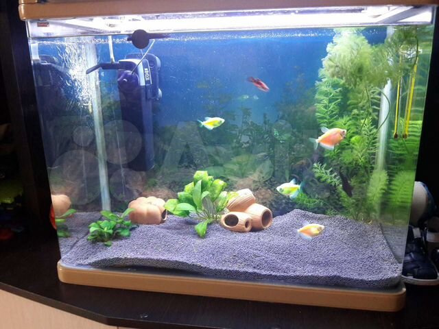 Аквариум 75л