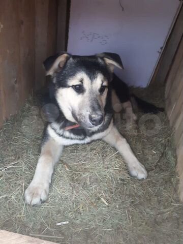 Мальчишка(5мес.) ищет семью