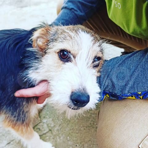 Наталия Кайдановская